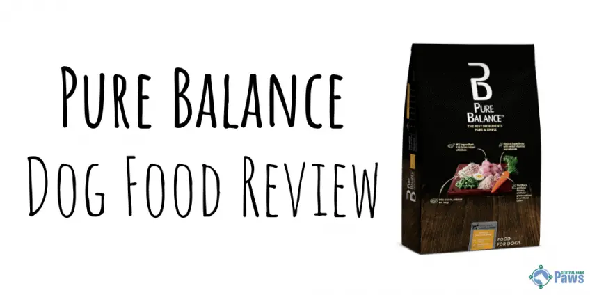 Pure Balance Grain Free Dog Food Review - What To Know Before Buying