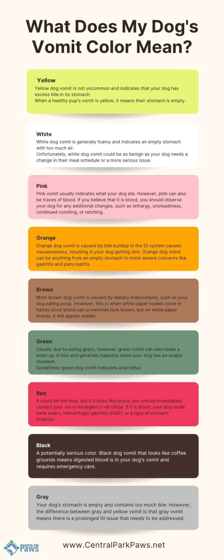 Dog Vomit Color Guide: Yellow, White, Pink, Orange, Brown, Green, Red ...